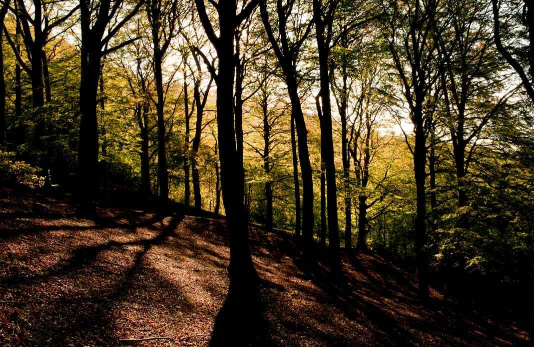 Gallery – Compass Holidays